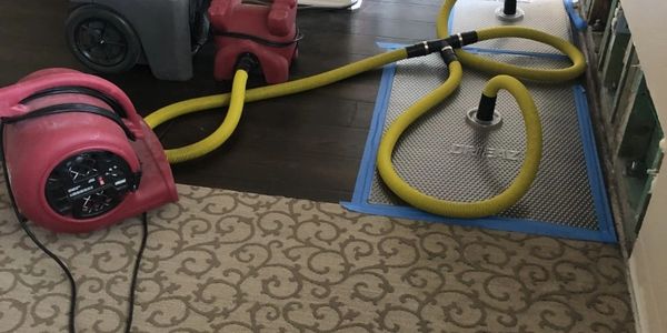 PULSE RESTORATION - Water, Fire, Mold, Biohazard Damage, Odor