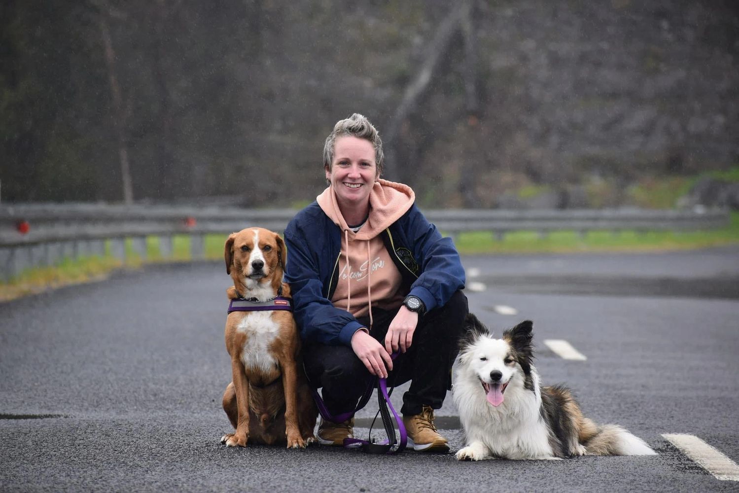 My Best Mate Canine Behaviour and Training