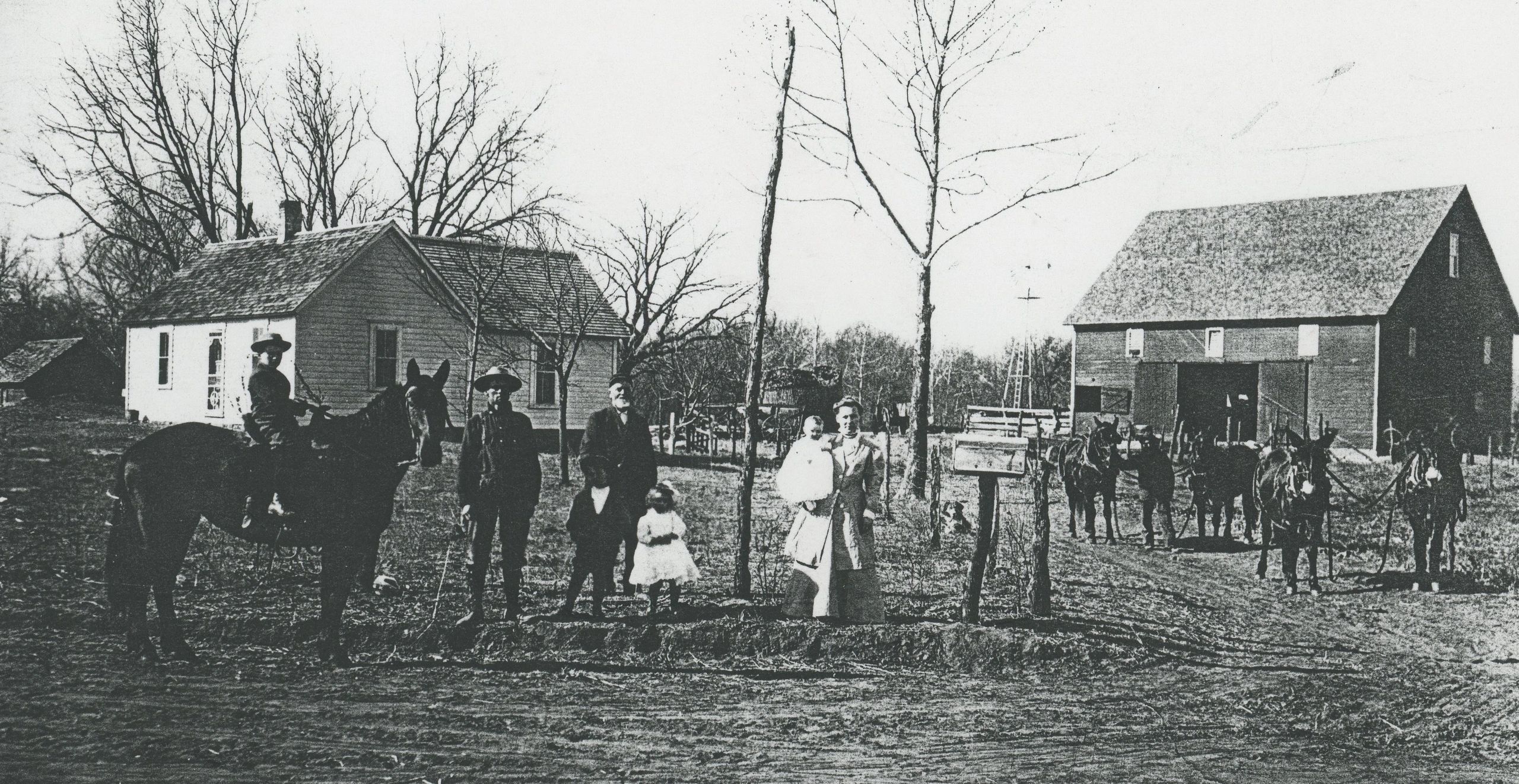 The Swaney family, part 2