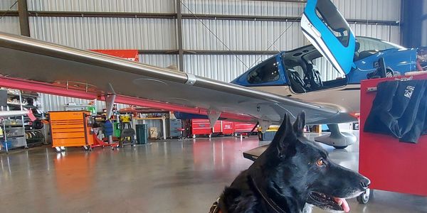 Gryphon Aircraft Services LLC