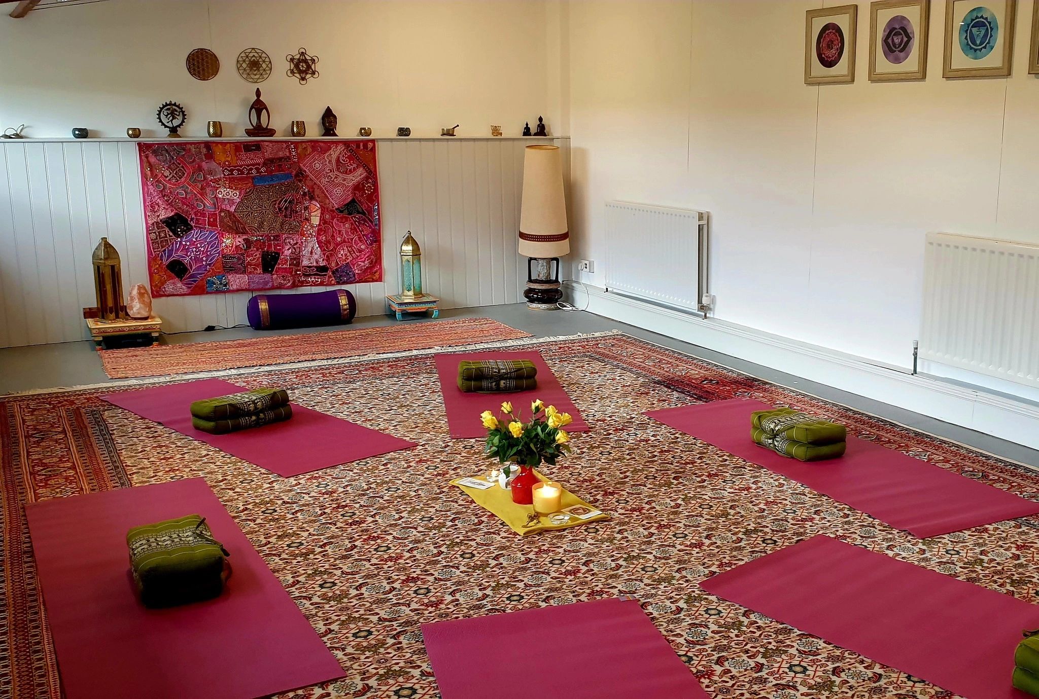 Yoga Classes for All Levels | Wandering Wild Yoga