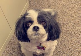 Meet our staff | Family Behavioral Health Services, LLC