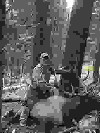 Deep Timber Sounds - Big Game Calling Products, Elk and Cow Call