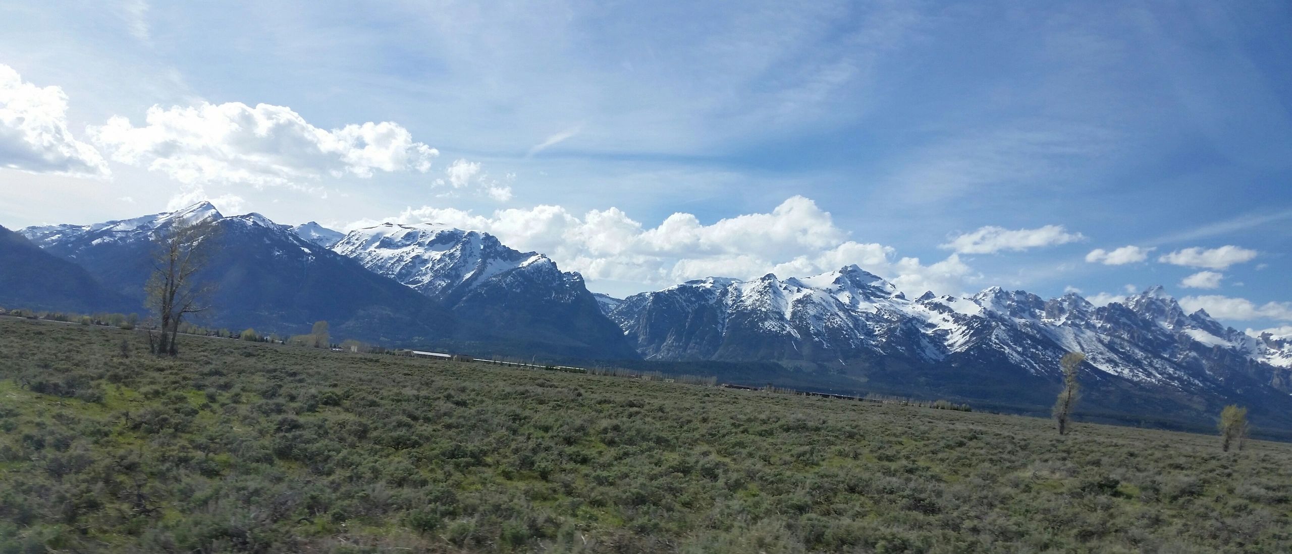 Deep Timber Sounds - Big Game Calling Products, Elk and Cow Call