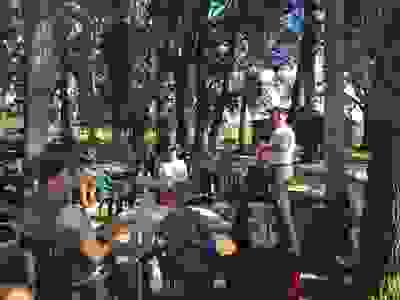 Deep Timber Sounds - Big Game Calling Products, Elk and Cow Call