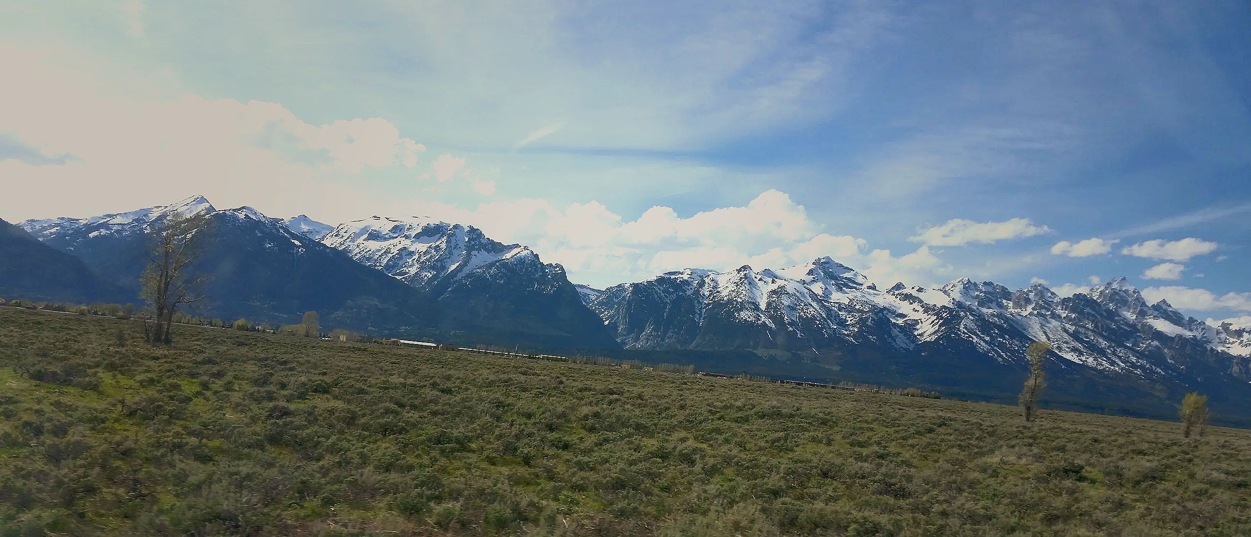 Deep Timber Sounds - Elk Calls, Game Calls