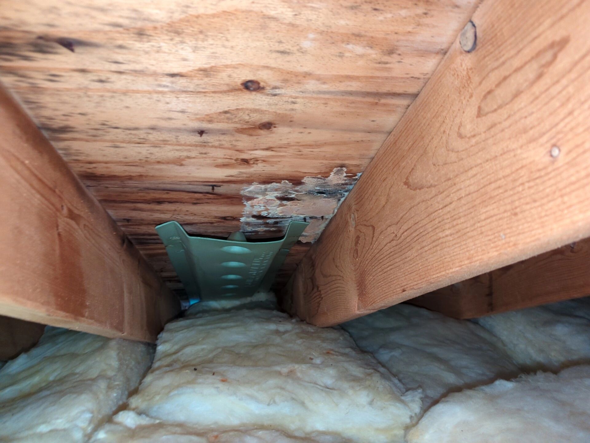 Mold and Water Intrusion in Attics