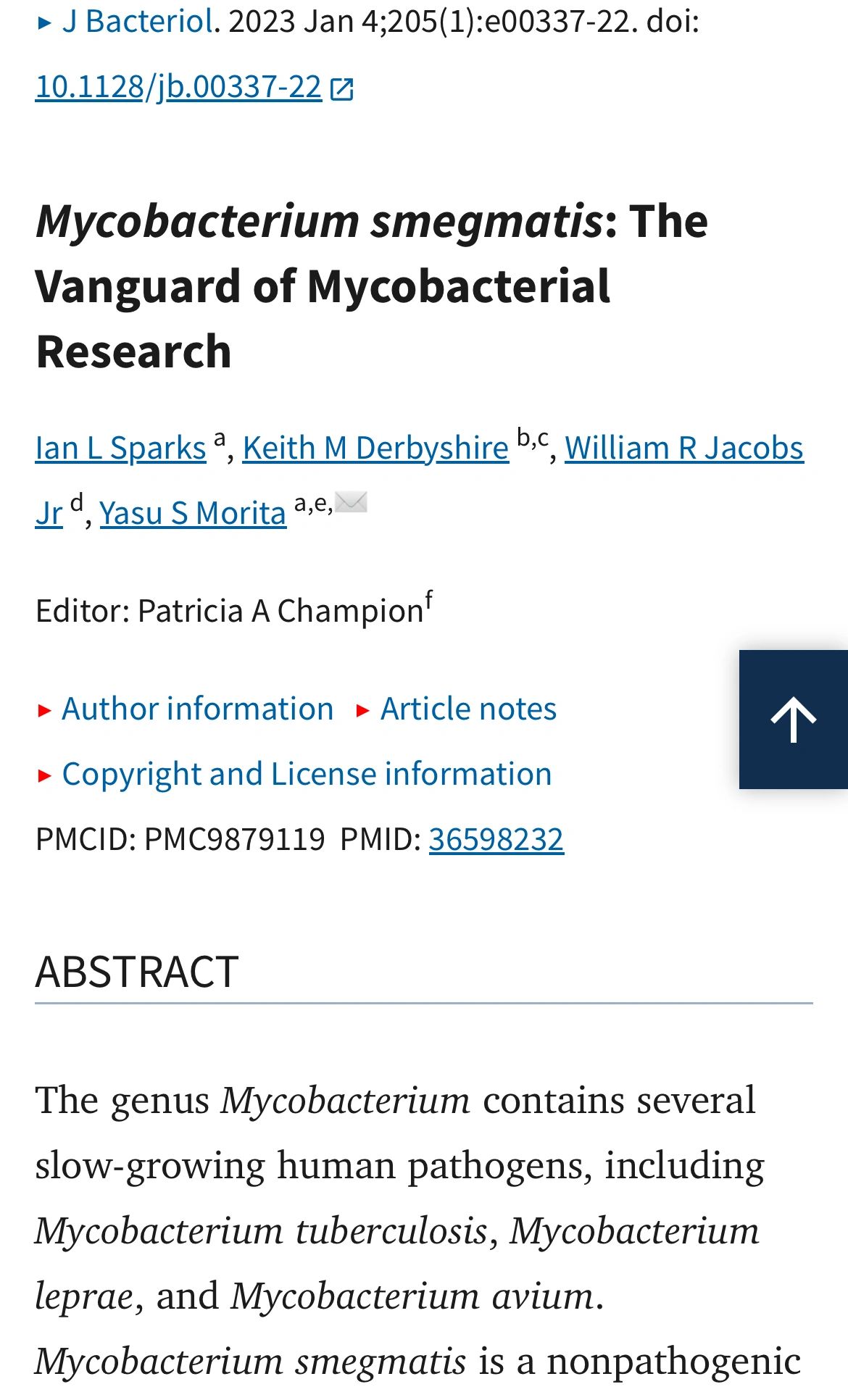 Hiding the Bio Cyber Interface with Distractions