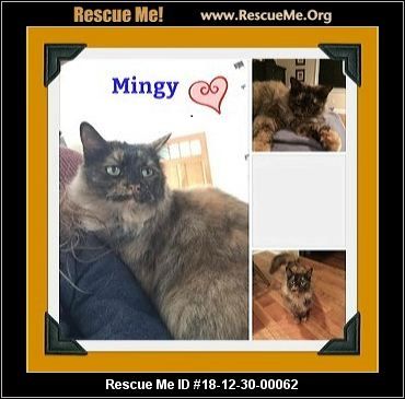 Mingy the Magnificent!