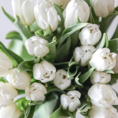 Eve Flowers - Flower Shop, Florist, Flower Delivery