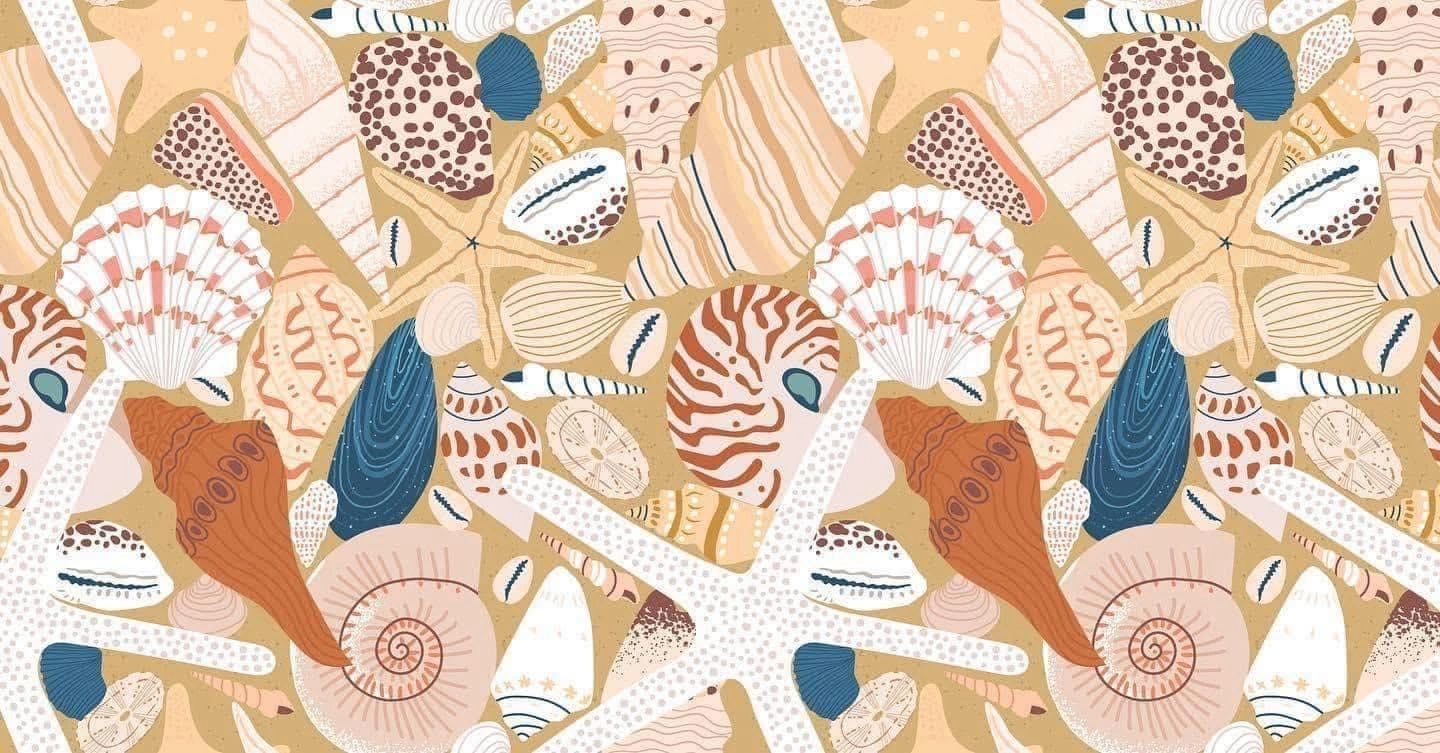 She Shell Art By Miffy - Coastal Homewares, Coastal Artwork, Seashell Art