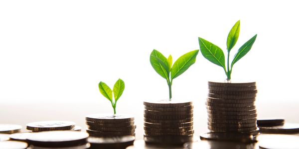 Cedar Insurance Company