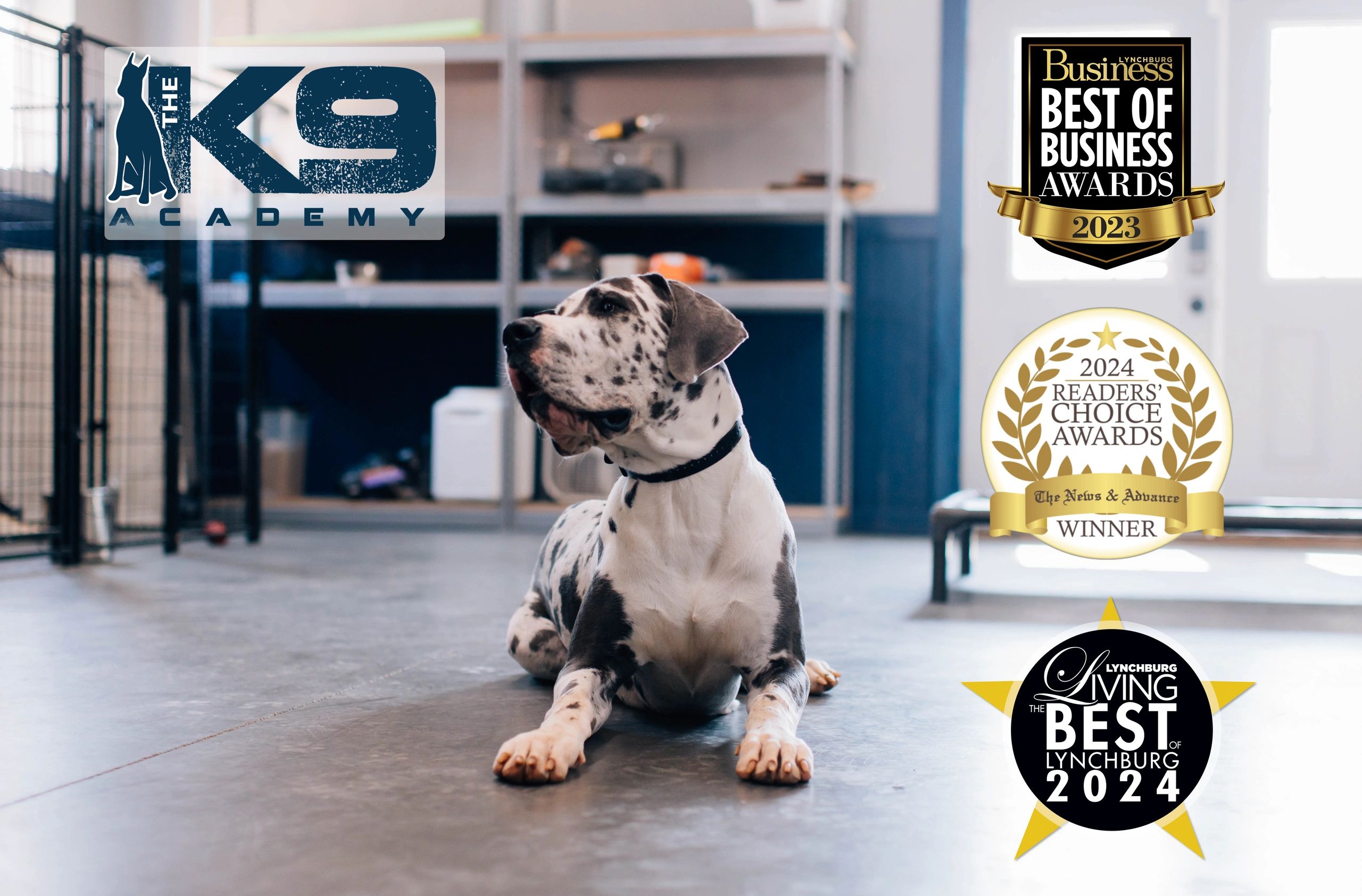 Dog Training - The K-9 Academy