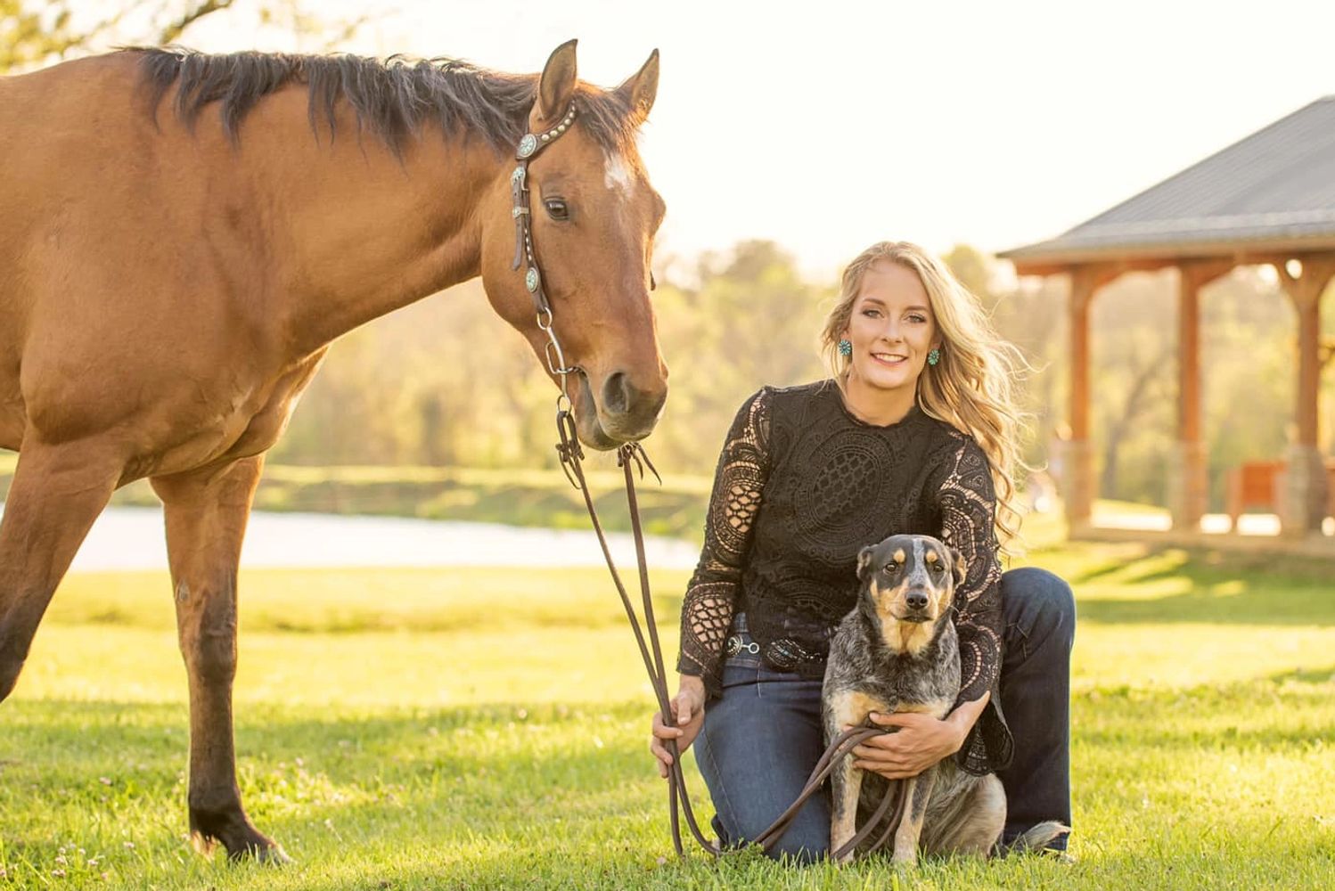 Horses for Sale - FlyingBEquine