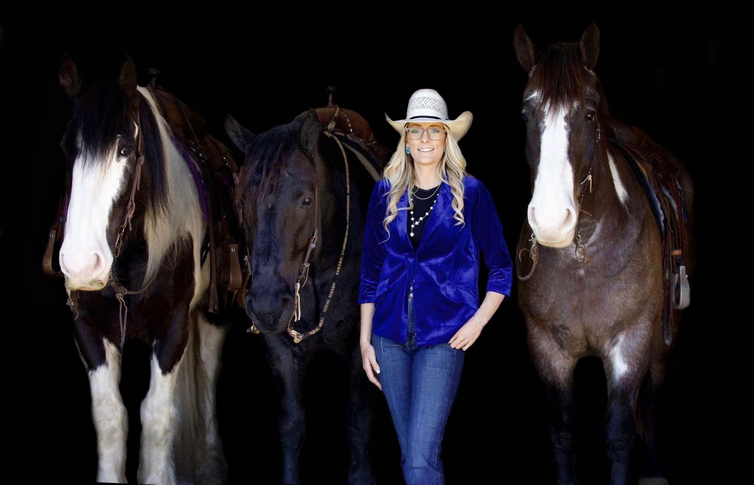 Horses for Sale - FlyingBEquine