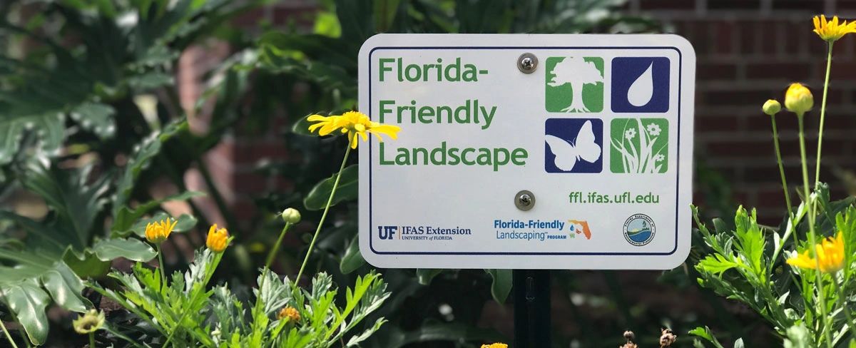 Creating a Florida-Friendly Landscape