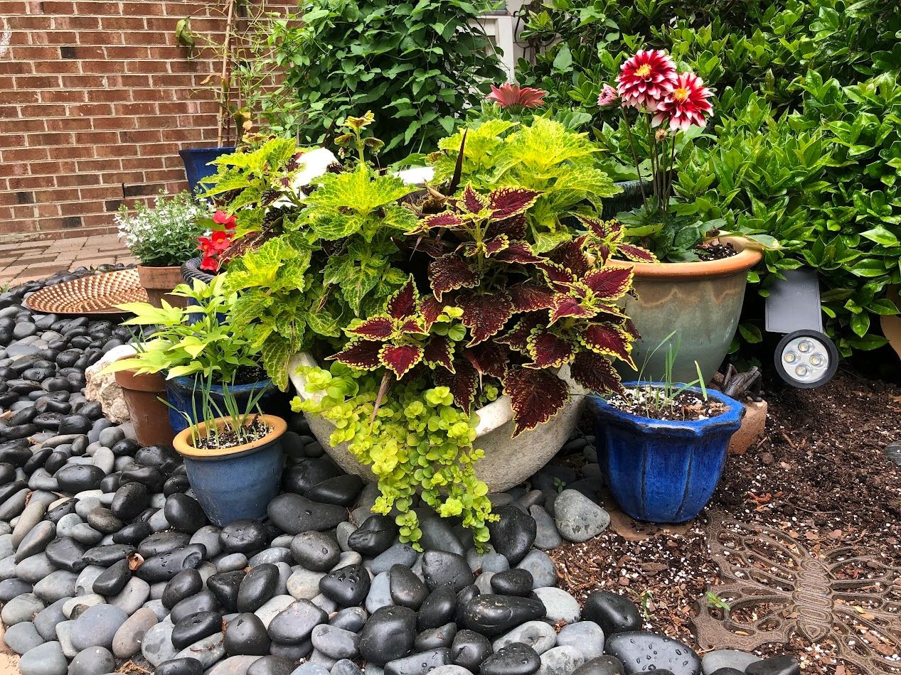 Grounding Perspective