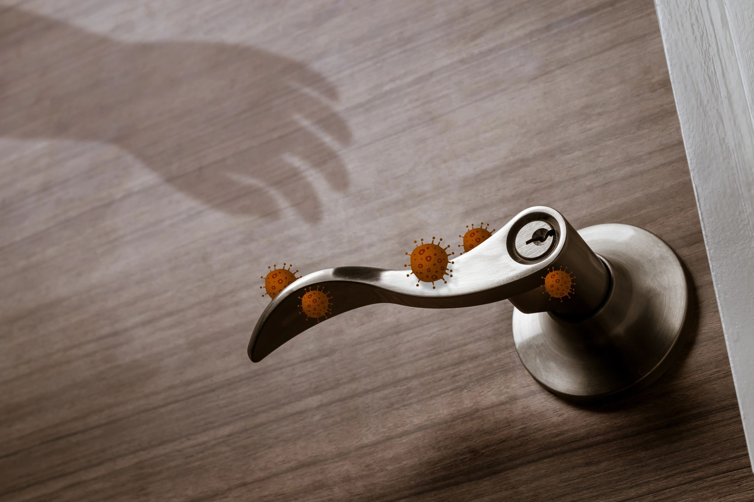 80% of viruses are picked up by touching contaminated surfaces