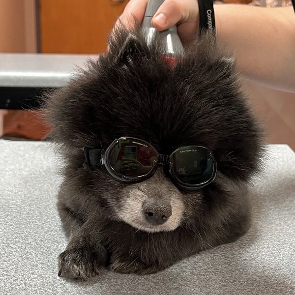 Laser Therapy