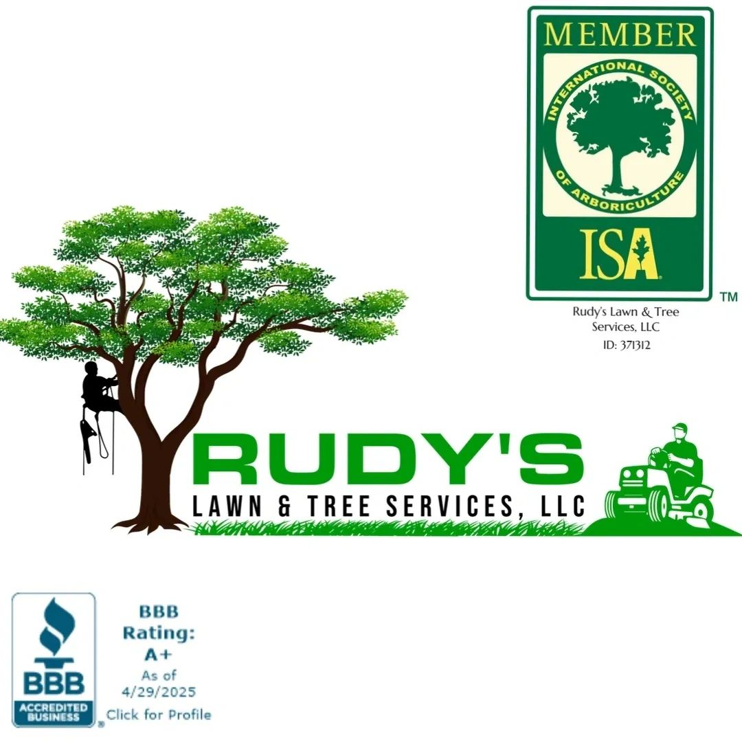 Rudy’s Lawn & Tree Services, LLC