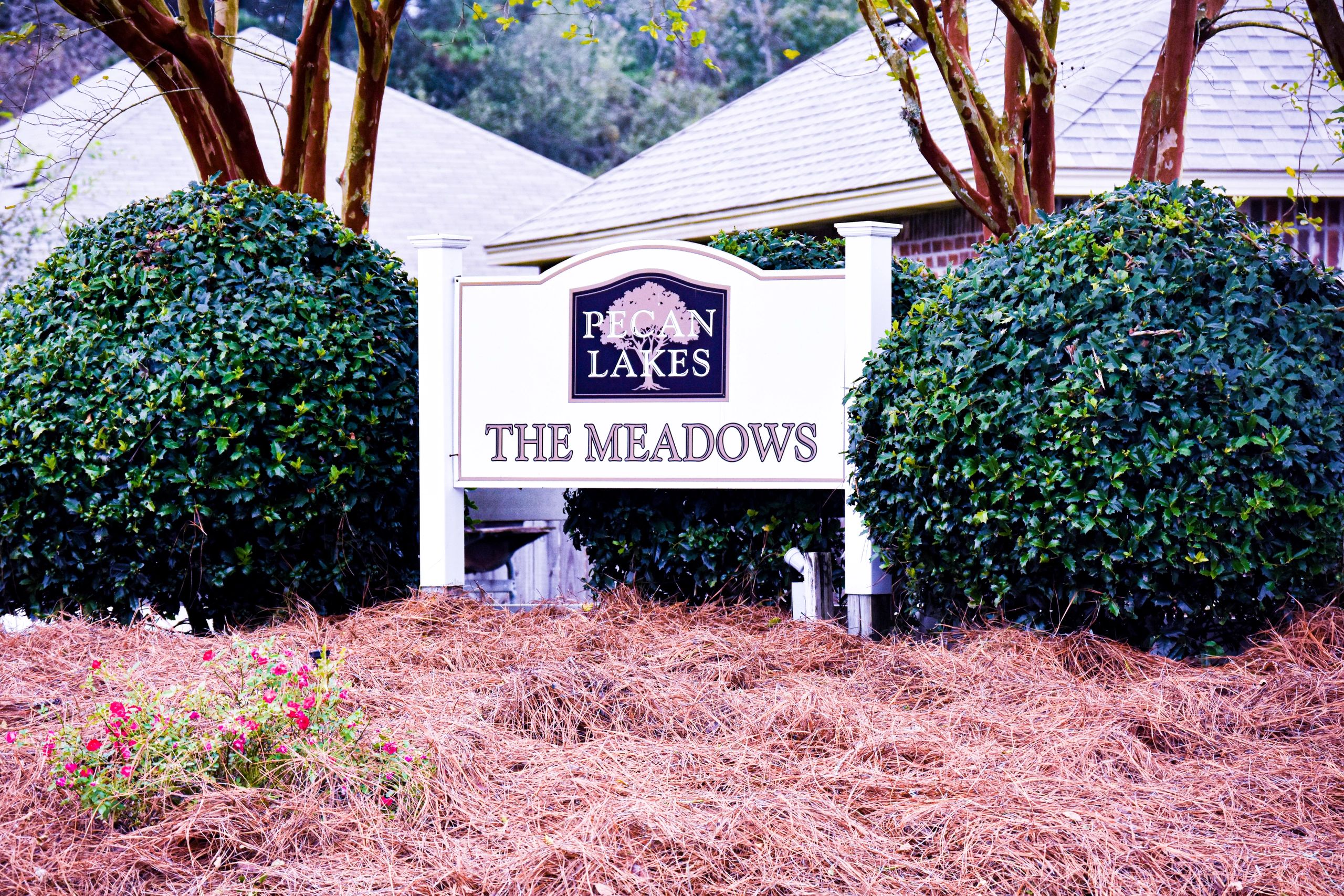 The Village Meadows HOA
