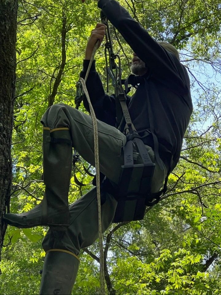 King-Stand. com - Bow Hunting Saddle, Tree Saddle for Bow Hunting ...