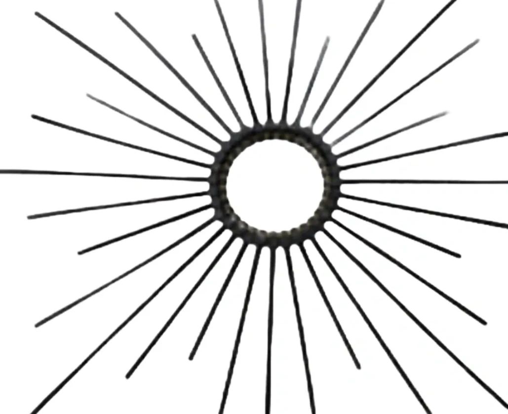 1 Blessed Organization