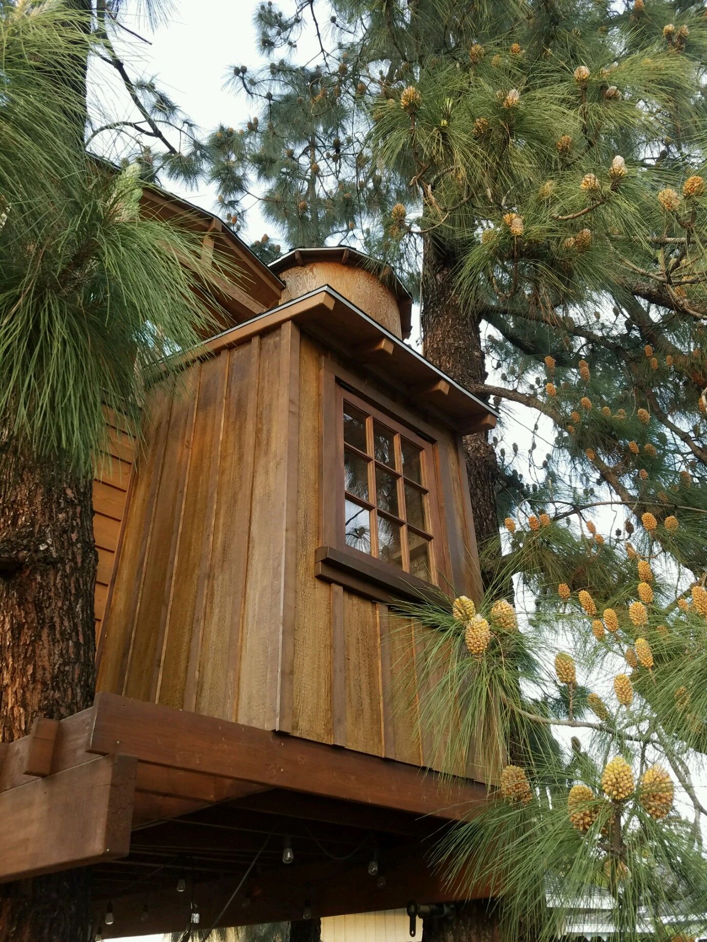 Urban Treehouse