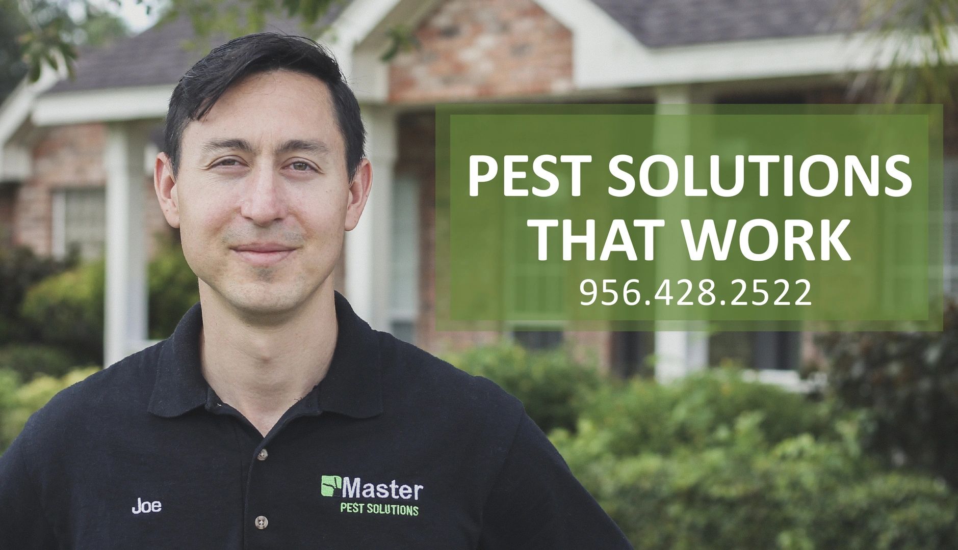 Master Pest Solutions - Termite Treatment, Fumigations
