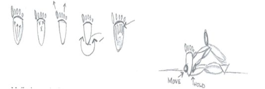 The Neuropathy Massage