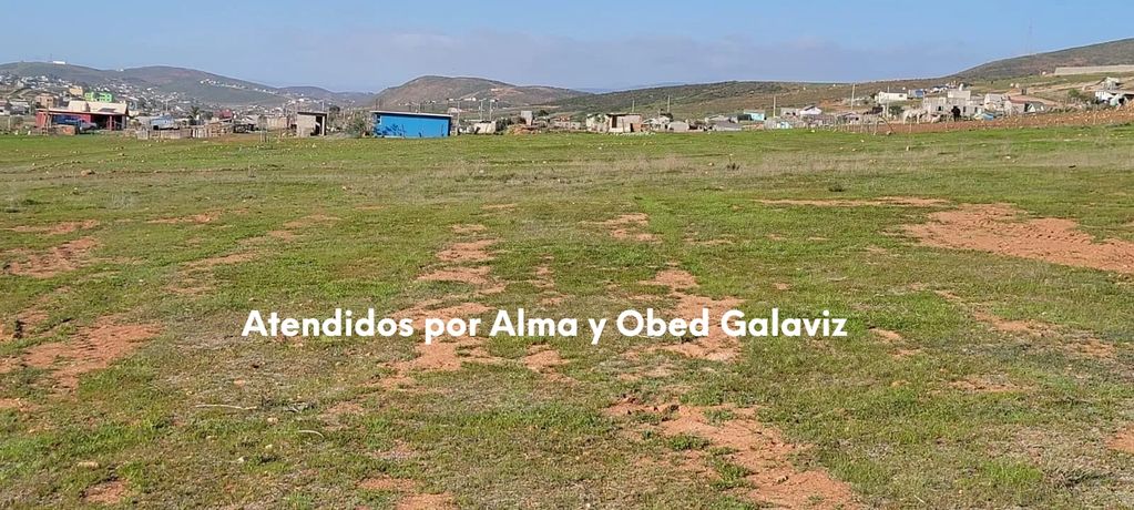 Maneadero Parte Alta