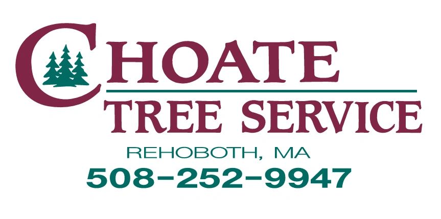 Choate Tree Service