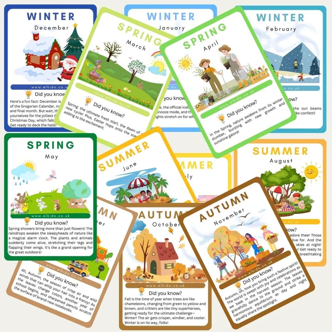 Elkido Printed Seasons Of the Year Flashcards