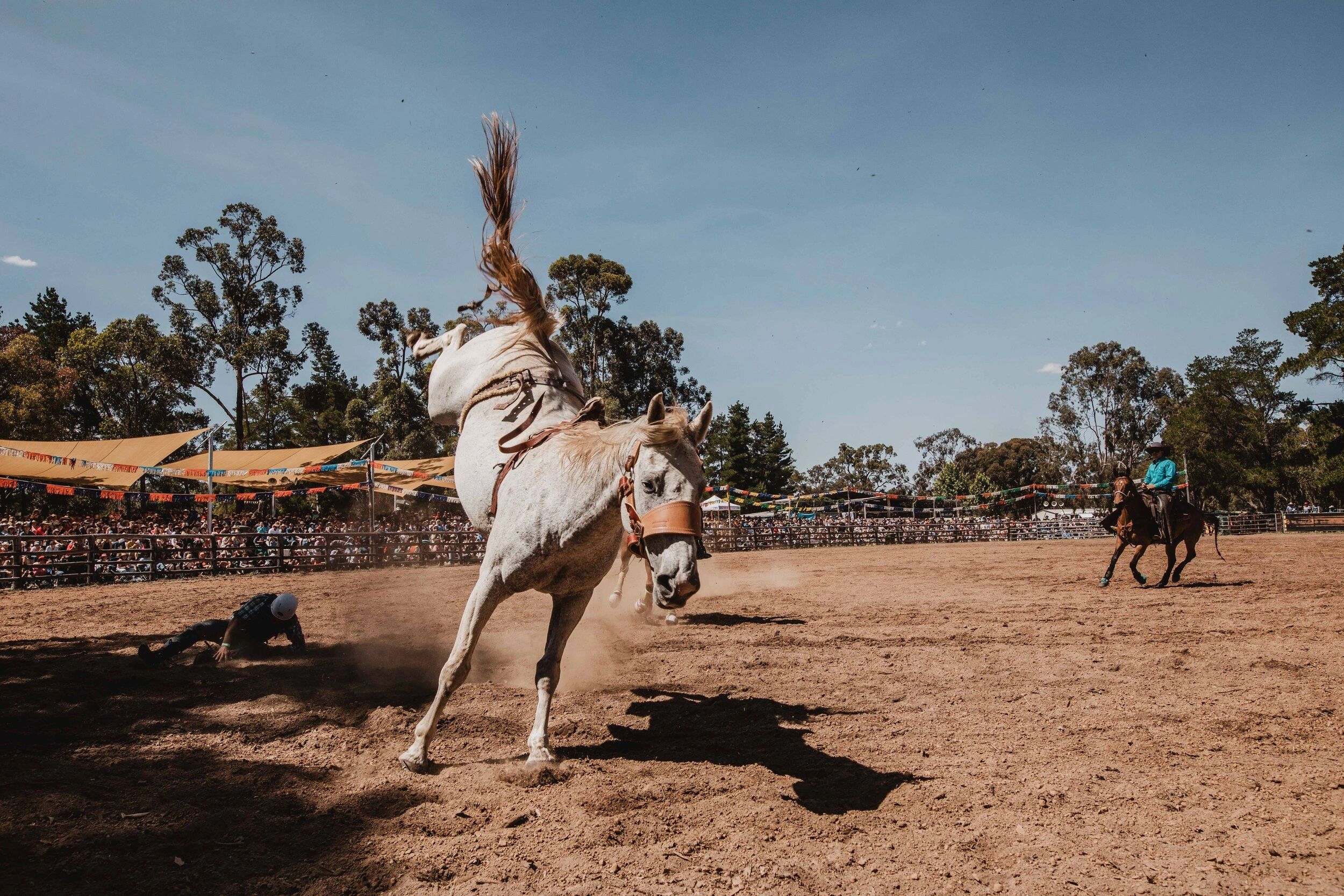 Tickets | Boddington Lions Rodeo