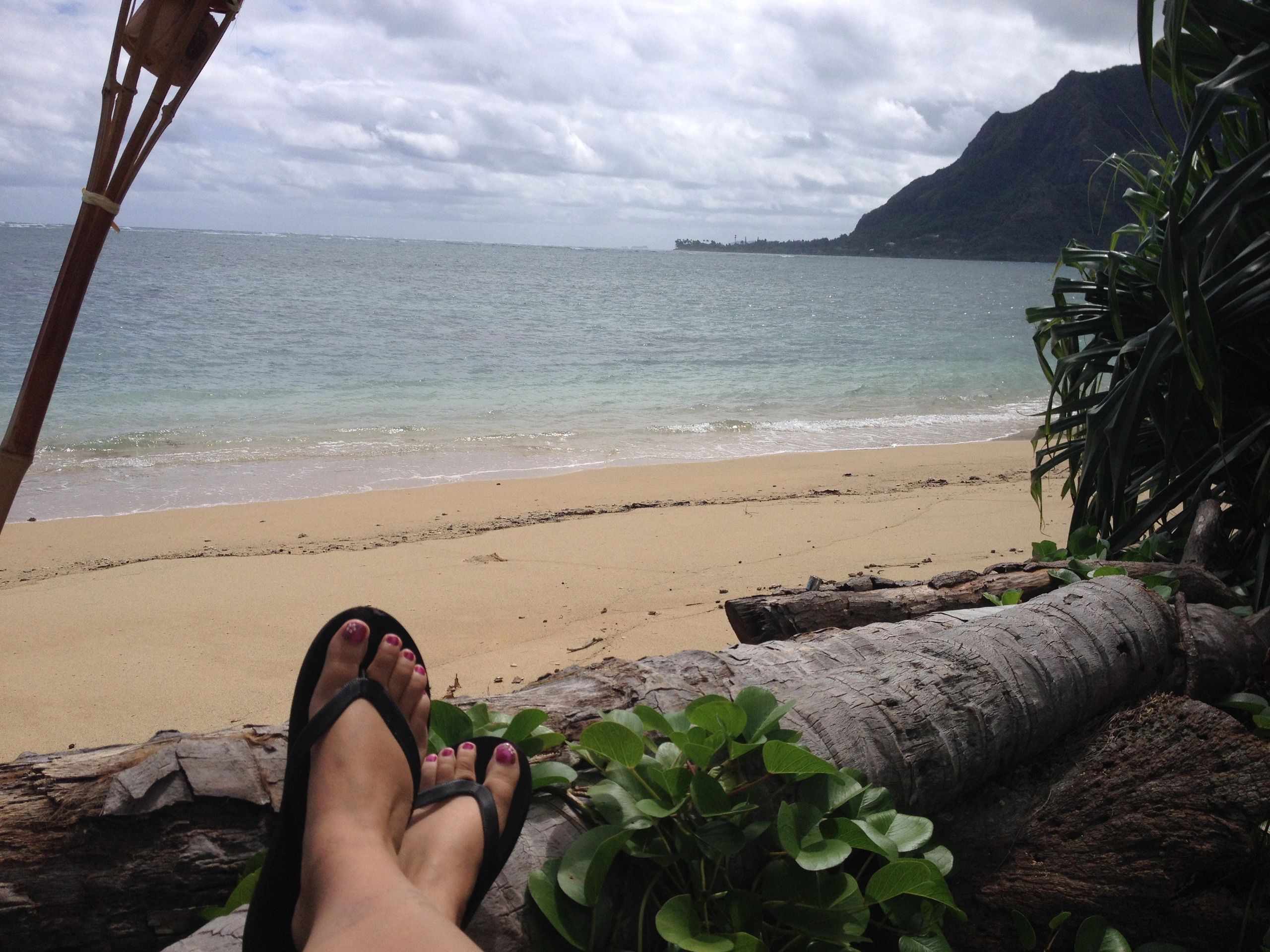 Dr. Paul Sinnott, Chiropractor