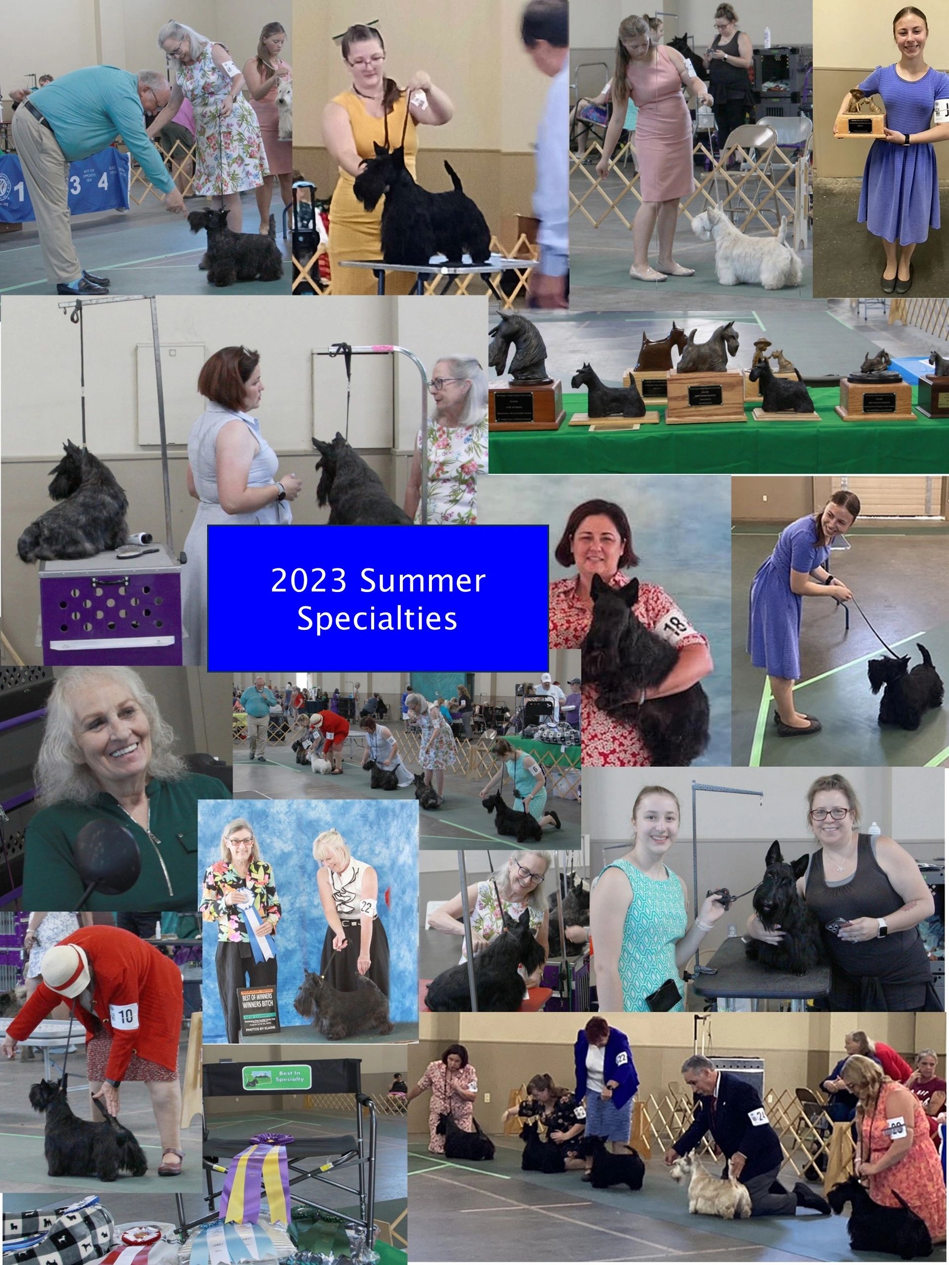 WA State Scottish Terrier Club - New