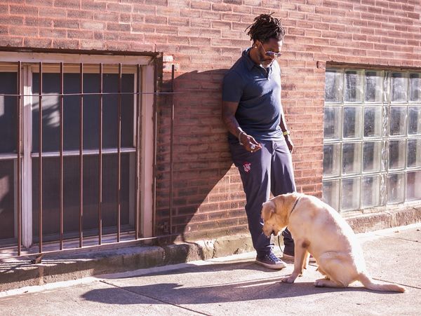 Dog Training Boot Camp - Wolfkeeper University