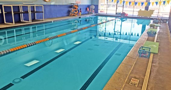 Locations/Login | Water Wings Swim School