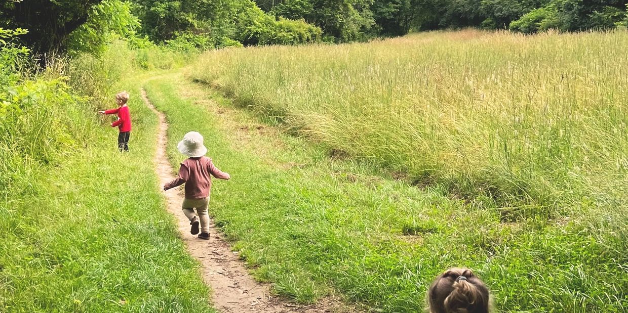 Place-based | Ancaster Forest and Nature School