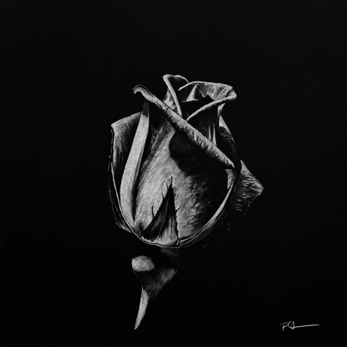 BW Rose