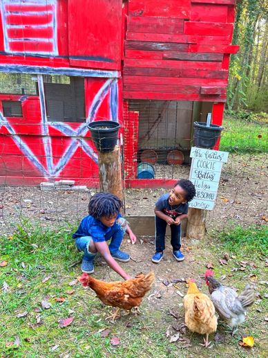 Our Farm Animals | The Upendo Lodge Estates