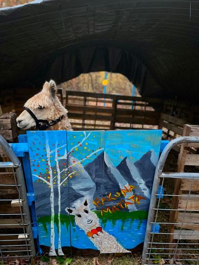 Our Farm Animals | The Upendo Lodge Estates