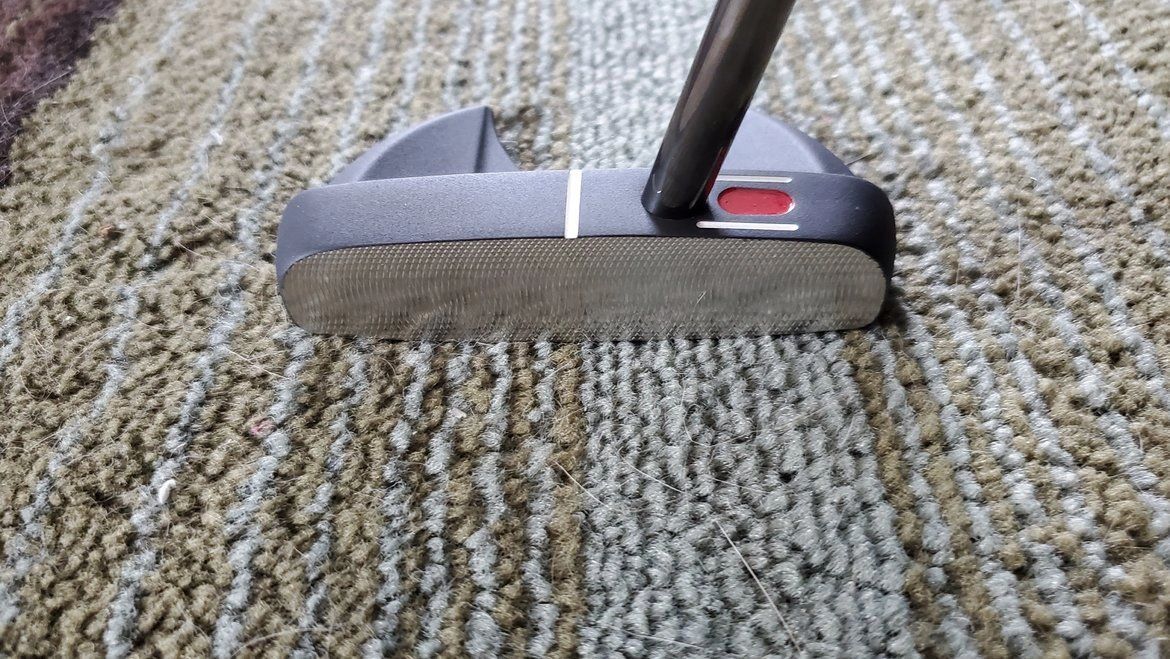 SeeMore Putter Fitting