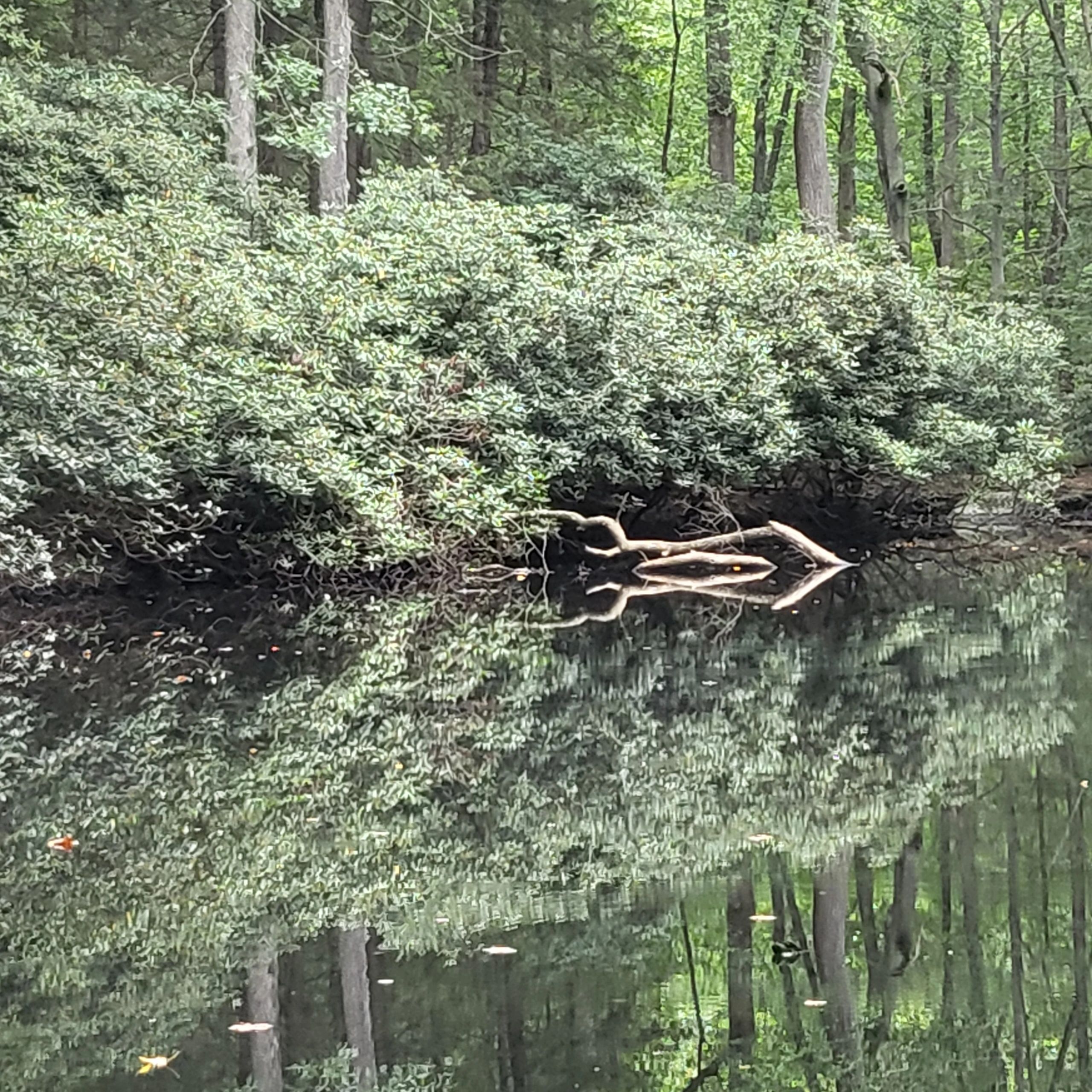 French Orthodox Theologians | Transfiguring Time