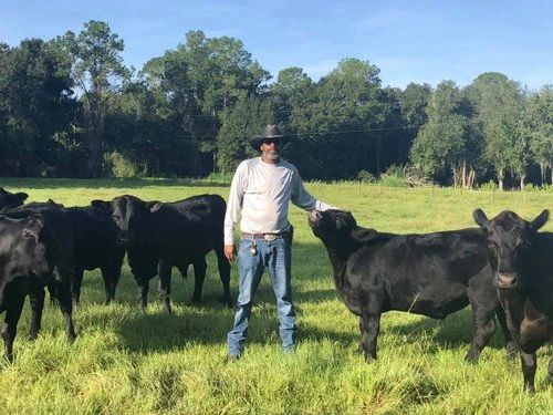 Military vet finds second career as a Florida rancher