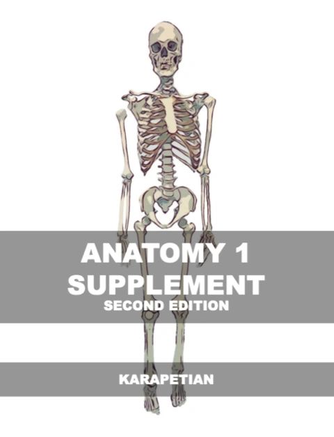 Anatomy 1 Lab Supplement