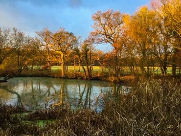 The Farm | Moat Farm Kent