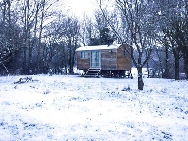 The Farm | Moat Farm Kent