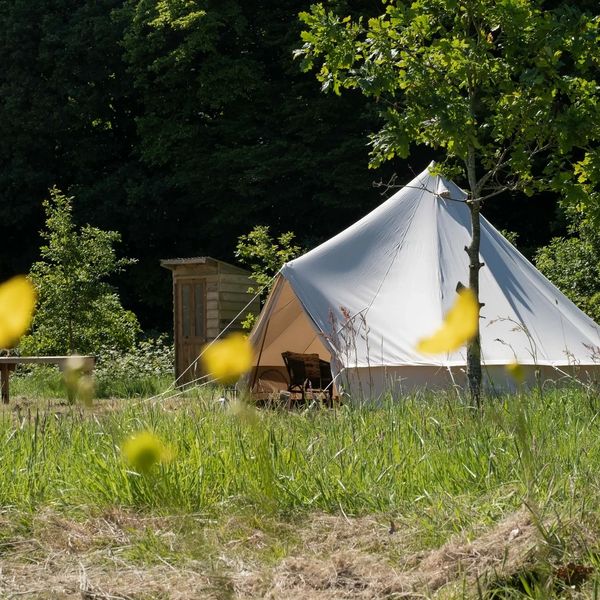 Moat Farm Kent - Rural Stays, Wildlife Farm