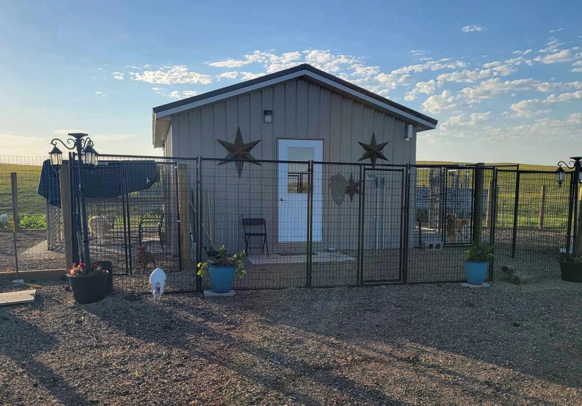 Dog Boarding in the Country at Prairie Paws Ranch